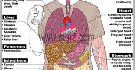 Health Is Wealth: Actions Of Alcohol On Body Organs.