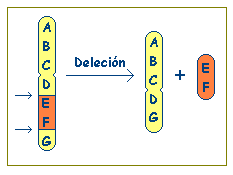 Ma. Evelyn: 5.1 CLASIFICACIÓN DE LOS TIPOS DE LESIONES EN EL ADN