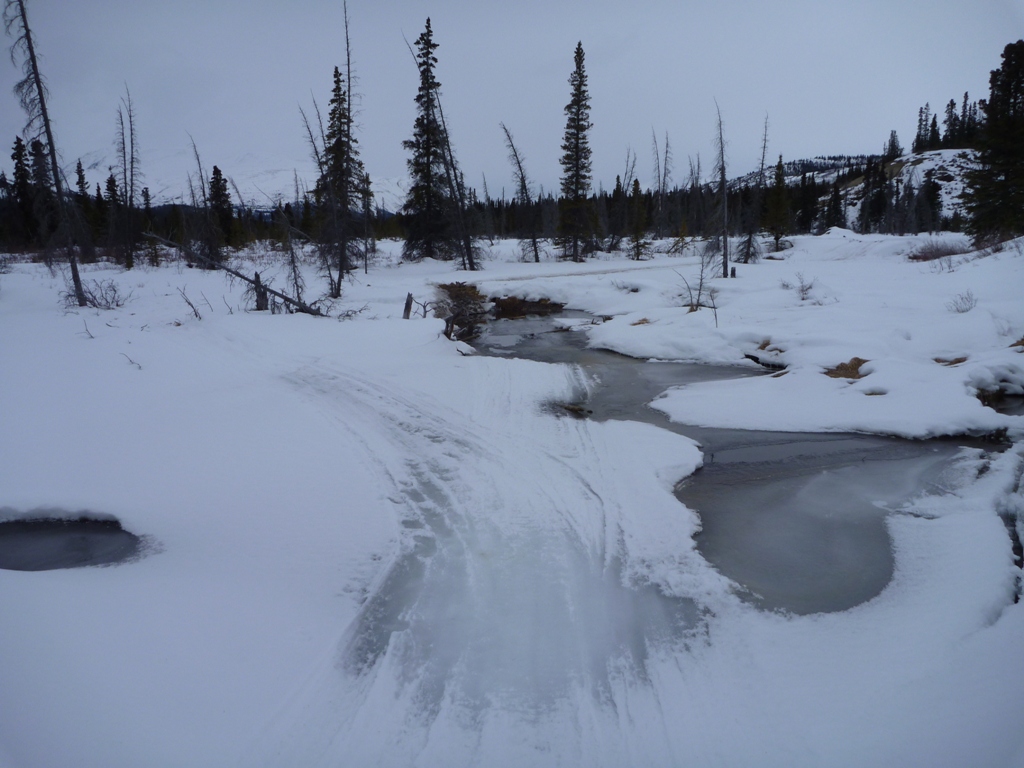 Yukon Frolics: The Rose Lake Loop, Finally!