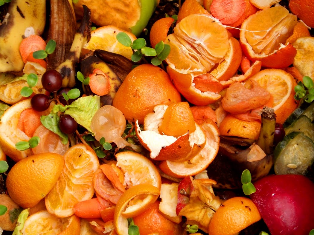 Contact & Sources - Food Waste