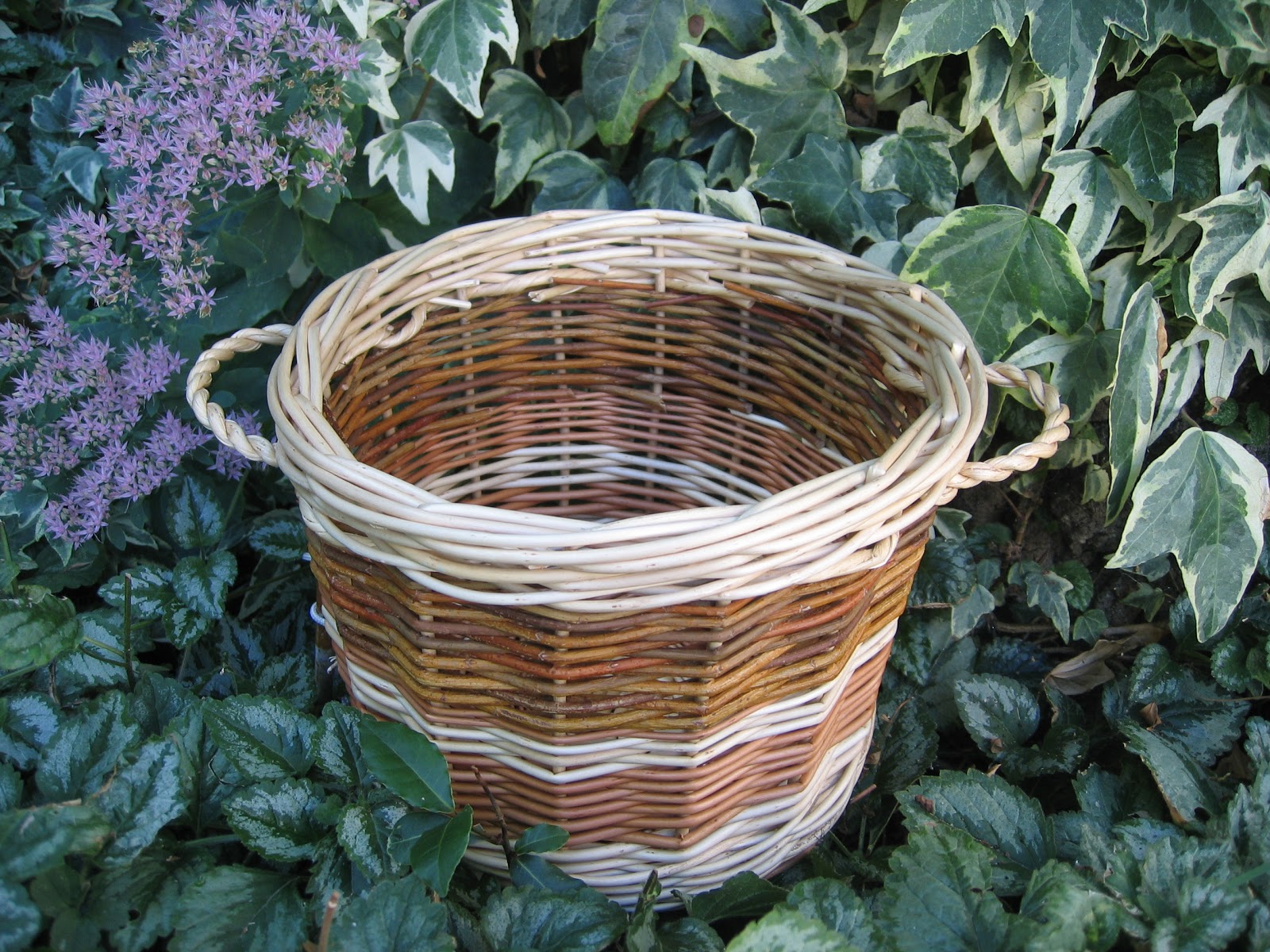 Paloma en la MORADA: Cesteria en Mimbre