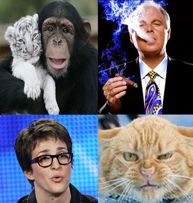 I’m going to briefly review some of the popular political talk show ...