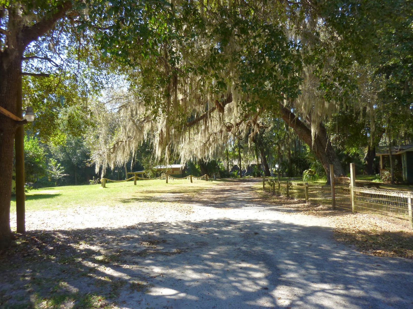 Back Road Motorcycle Rides: Cross Creek, Old Florida, and The Yearling ...