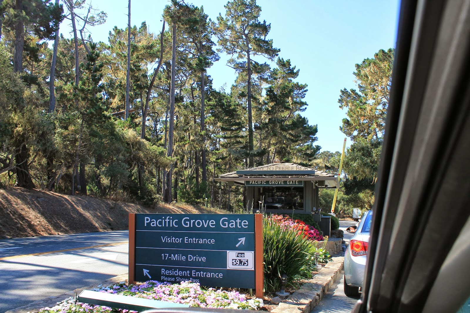 The Roadrunner Chronicles: Pebble Beach and 17 Mile Drive