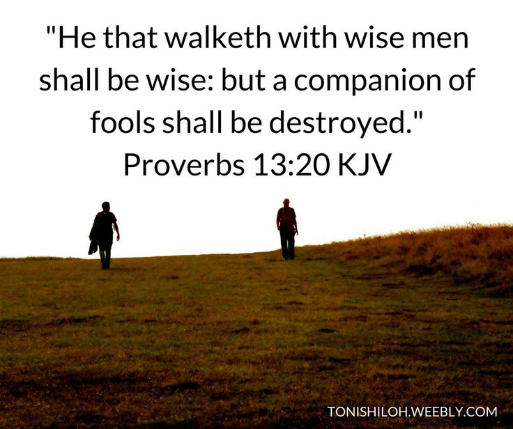 Preachbrotherbob How Proverbs Describes A Fool preachbrotherbob-how-proverbs-describes-a-fool