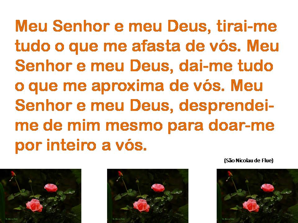 A Mão da Vida: Meu Senhor e meu Deus