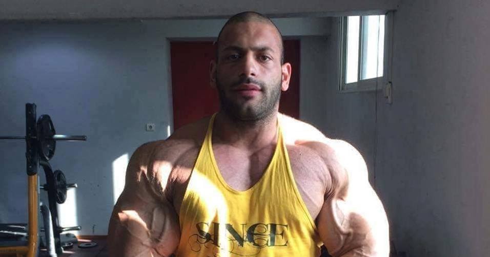 Muscle Lover: November muscle mix 2016