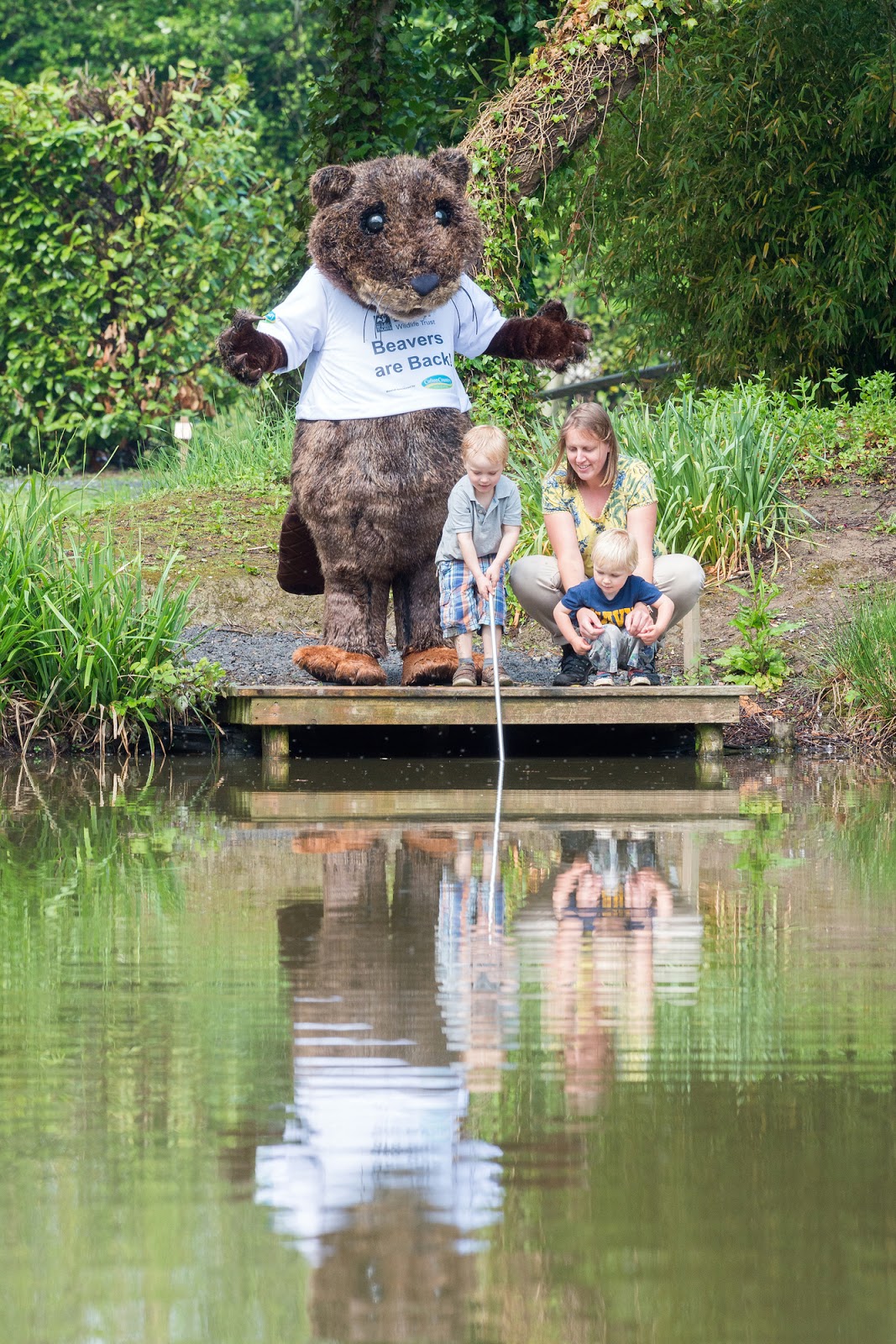 North Devon Coast and Country Chronicle: Devon beaver mascot named as ...