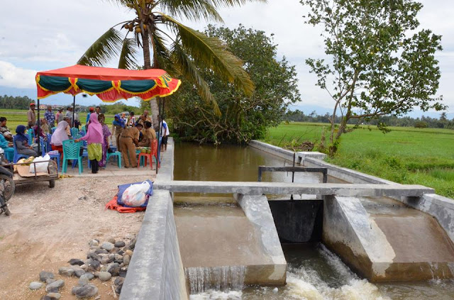 Dam Parit di Alai Gelombang Mampu Airi Lahan 60 Hektar