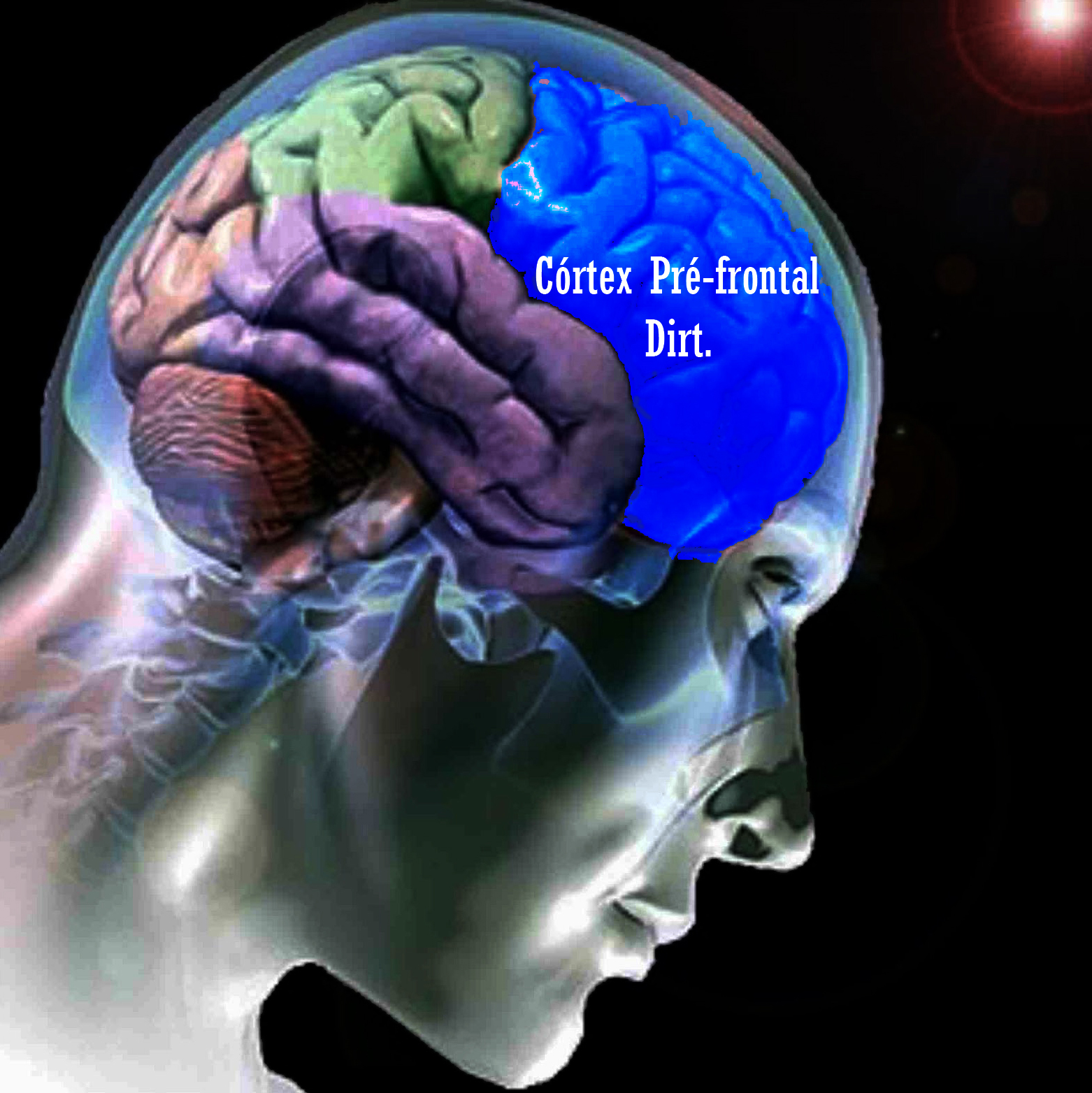 Cortex Pré Frontal Tdah - BRAINCP