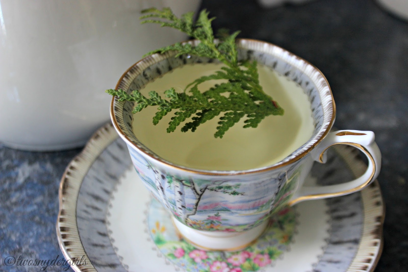 Our Retirement Days: Earth Day Cedar Tea