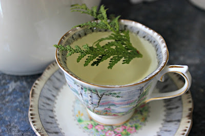 Our Retirement Days: Earth Day Cedar Tea