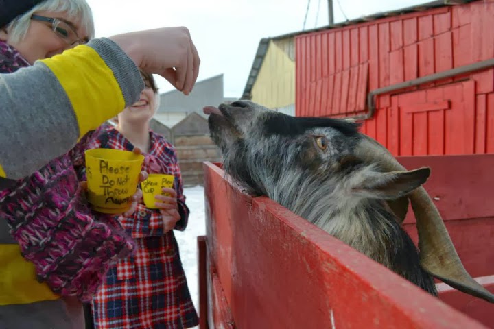 A Coin For the Well - Style Inspiration for Everyday Vintage Looks: A ...