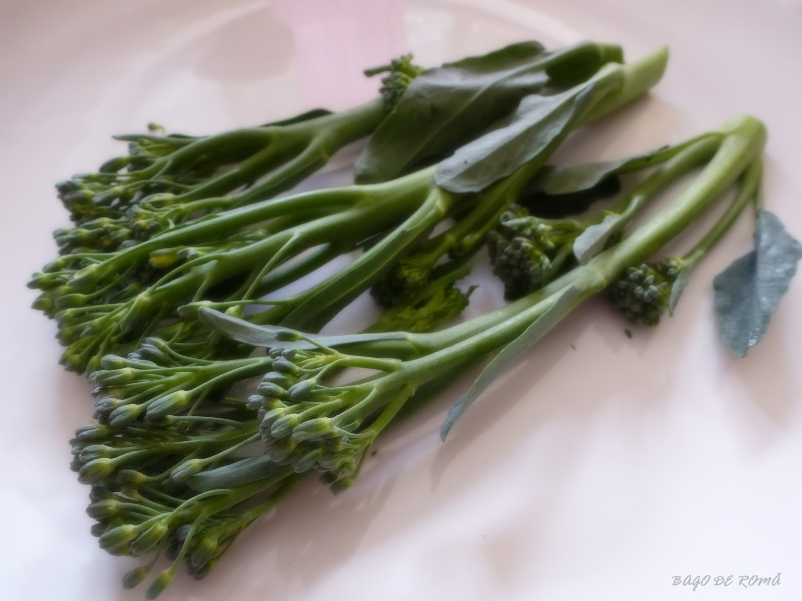 Bago de Romã: "Conhecer Melhor" - Bimi ou Mini-Brócolos ou Broccolini