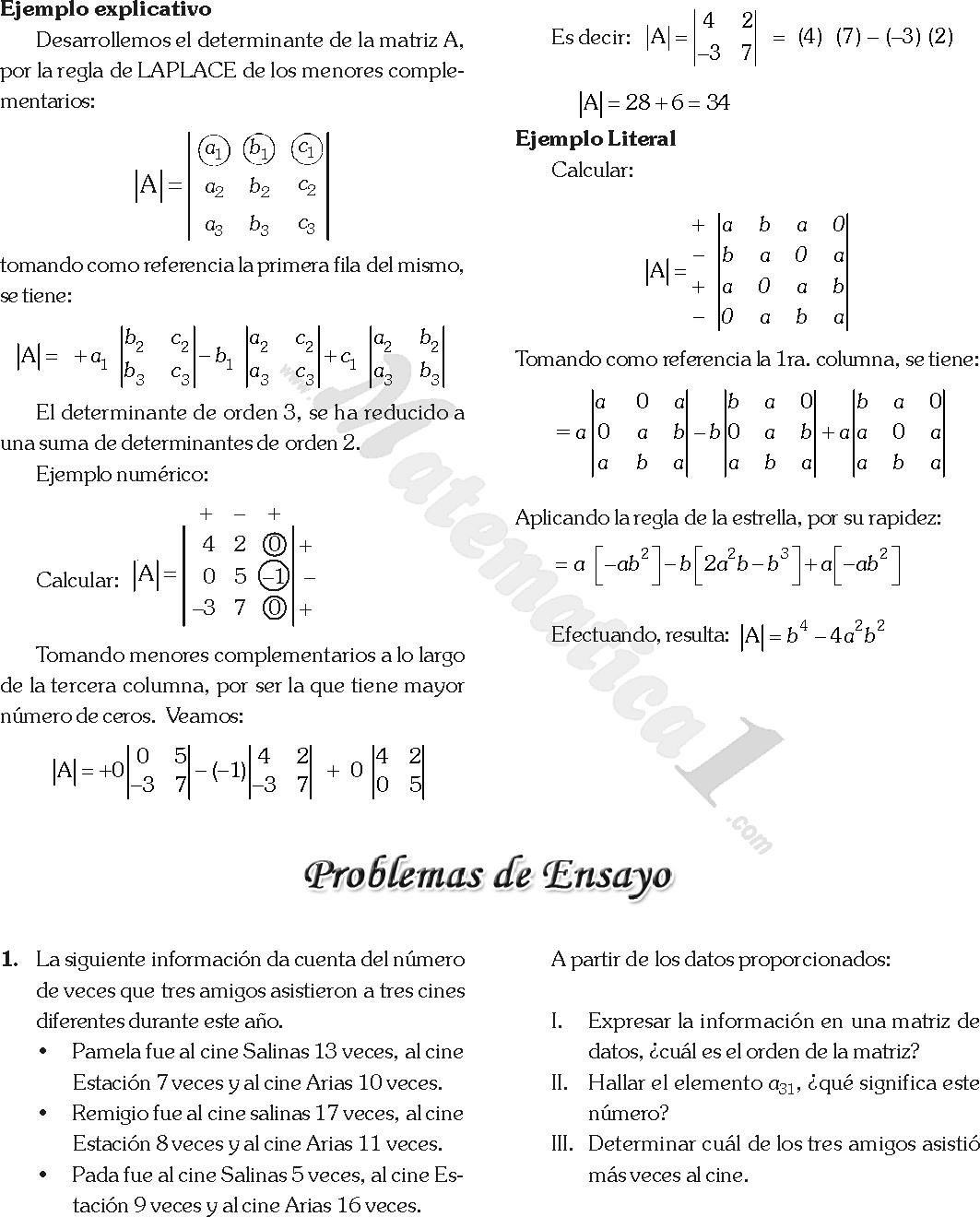 MATRICES EJERCICIOS RESUELTOS DE MATEMÁTICAS PDF