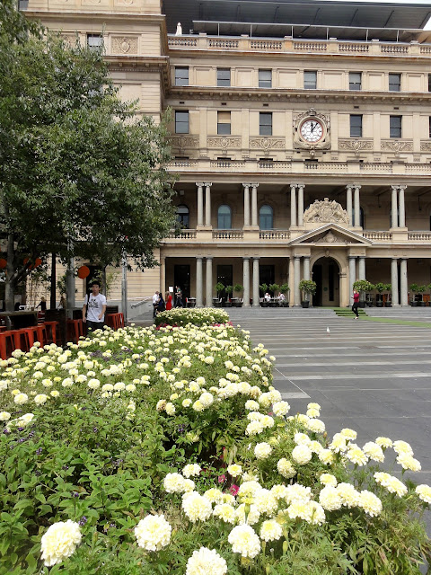 Snap Happy Birding: Customs House, Circular Quay, Sydney