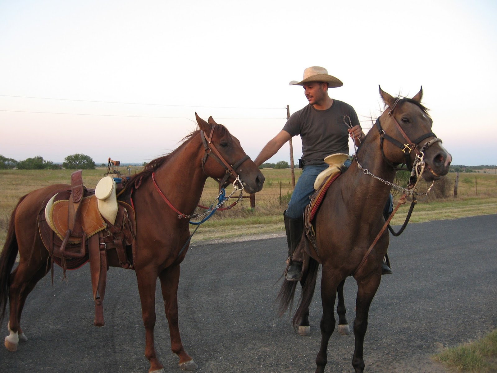 Some Thing's Take A Real Texas Cowboy: Some Things Take A Real Texas Cowboy