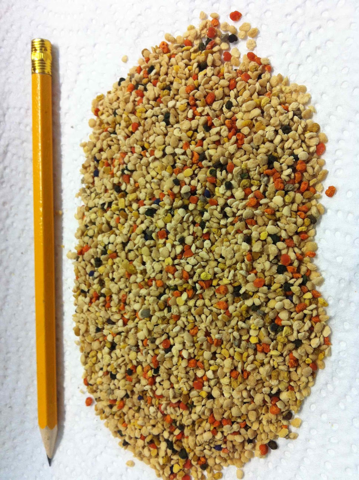 Apis AmicA: Polline d'inverno, candito e corsi di degustazione a Padova