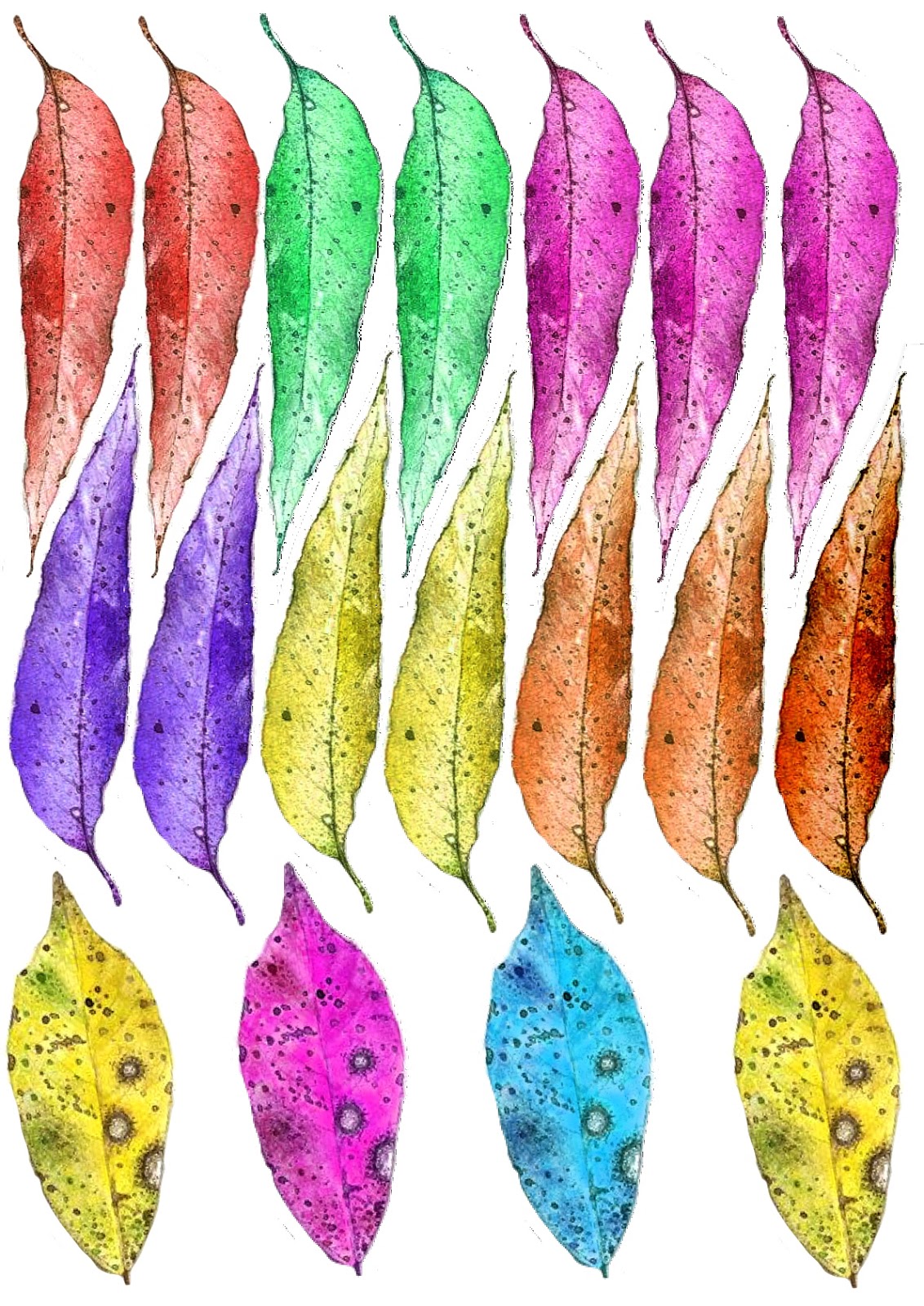 MIXED MEDIA SCRATCH ART - Frogs