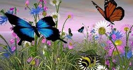 KUPU-KUPU YANG LUCU - Melody Negeriku