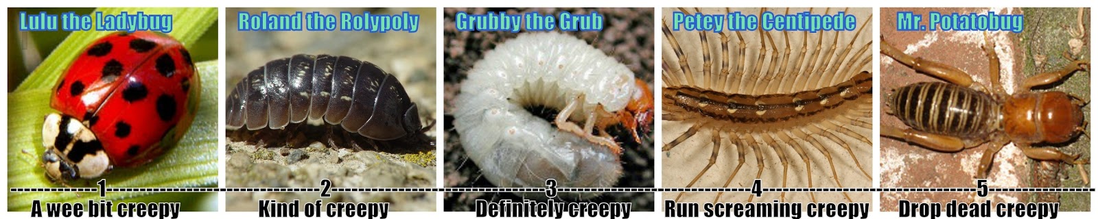 The Creepy and Kooky World of Kid's Lit