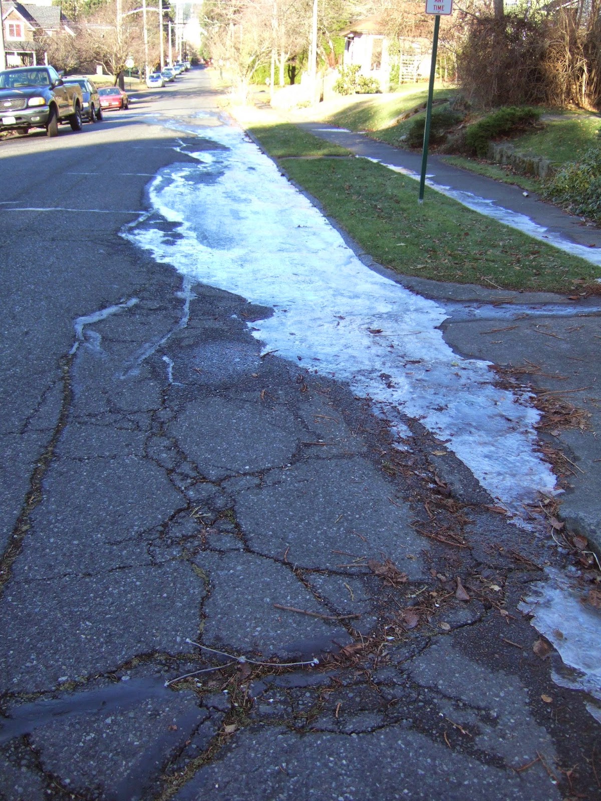 Reading the Washington Landscape: Freeze-Thaw, Road Damage and Small ...