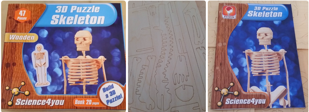 Life As Kim: Science 4 You 3D Wooden Puzzle - Skeleton - Review!!
