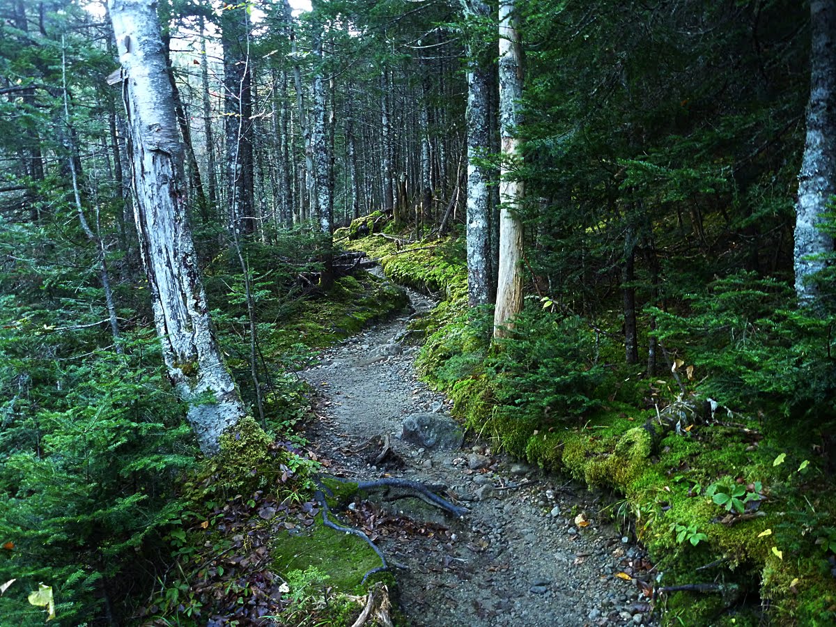 White Mountain Sojourn: 10-9-11 Ammonoosuc Ravine, Mt. Washington