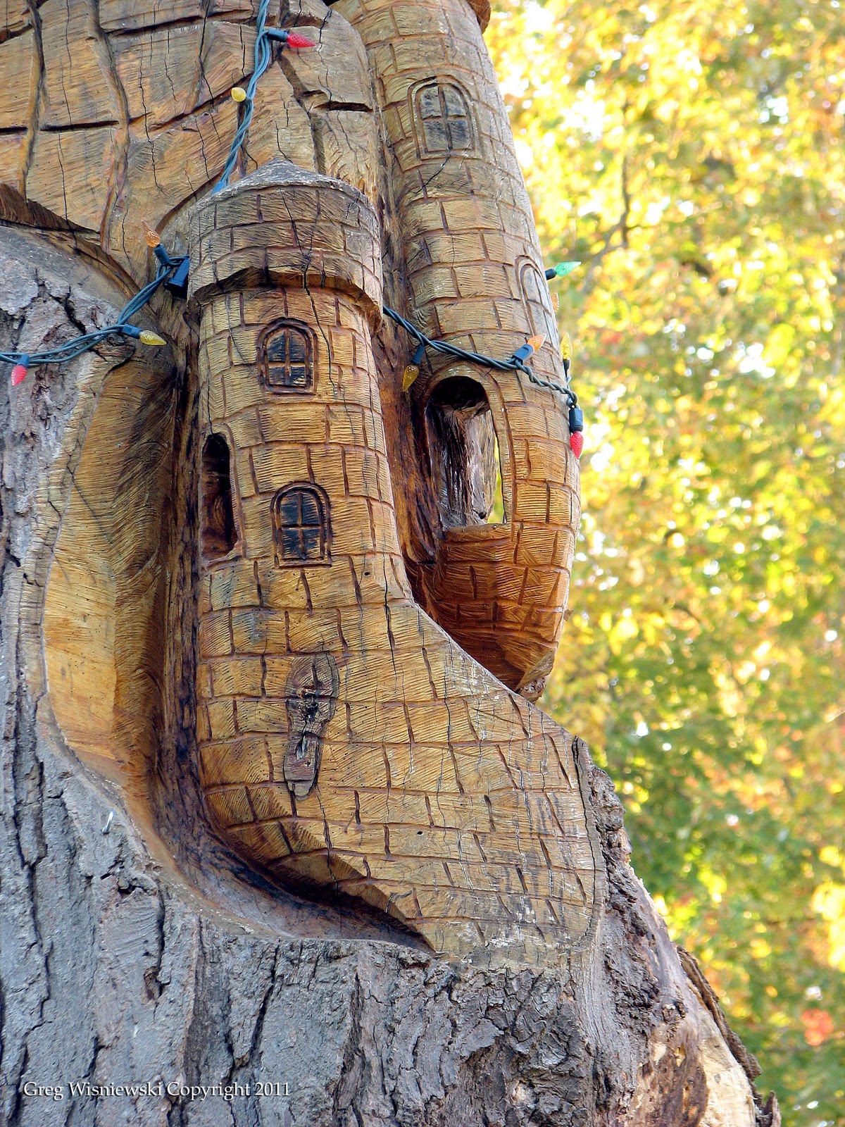 Looking around London: Squirreltopia!