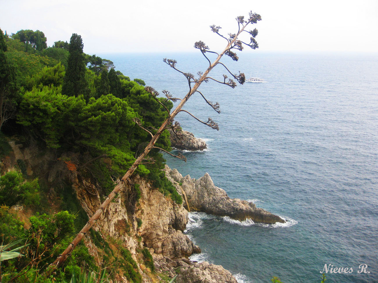 Snapping Life: La espectacular costa dálmata en Croacia