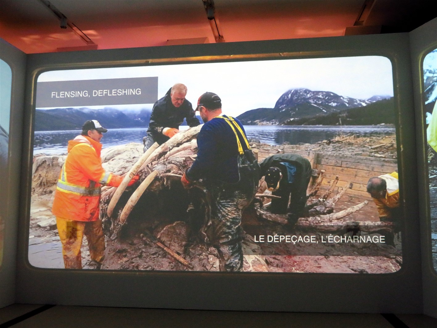 The World of Gord: Out of the Depths, The Blue Whale Exhibit at the ROM