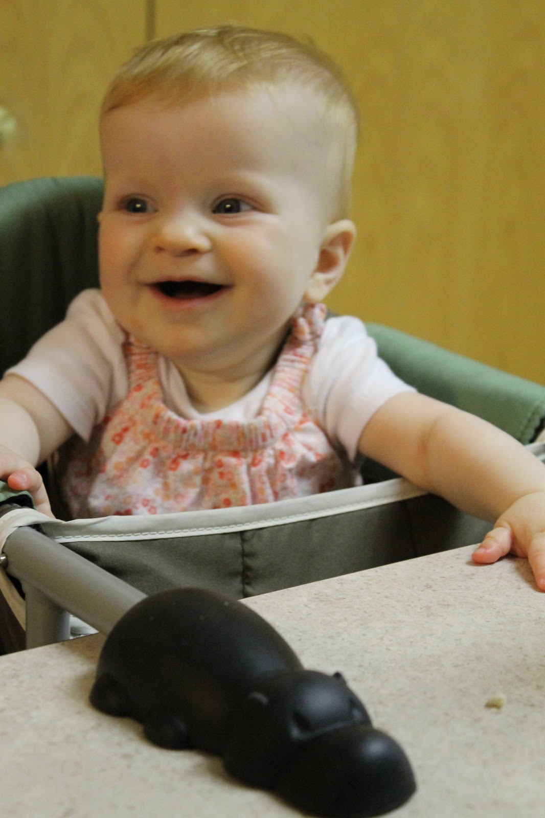 The Lowe Family: January 2013