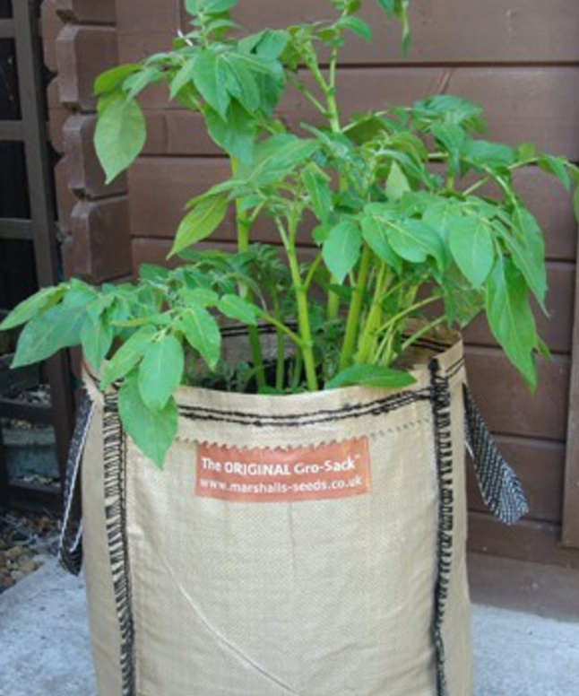 Feed Sack Tote Bags made from recycled feed sacks and materials Part 2 ...