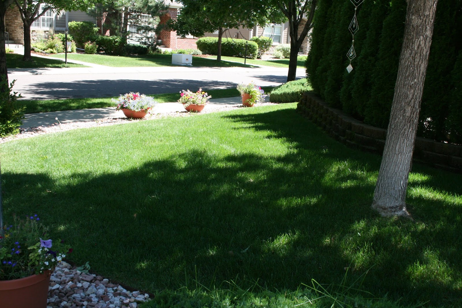 The Flower Bin: The Flower Bin Lawn Care program 2019