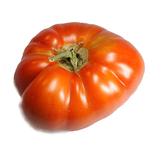 Tomate
