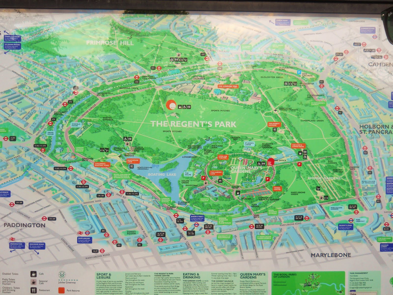 To Europe and Back : A Summer Abroad: DAY 28: The Queen's Gardens