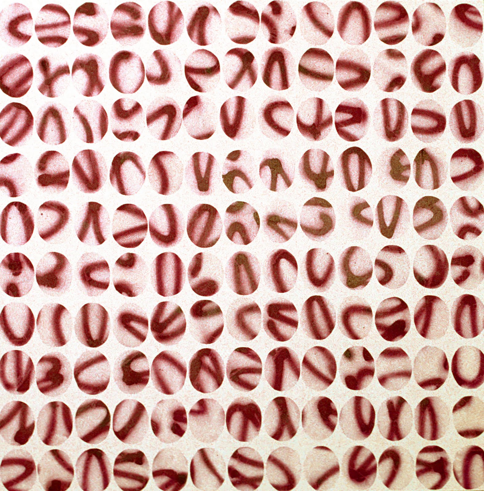 Catherine Carter: Painting Archive