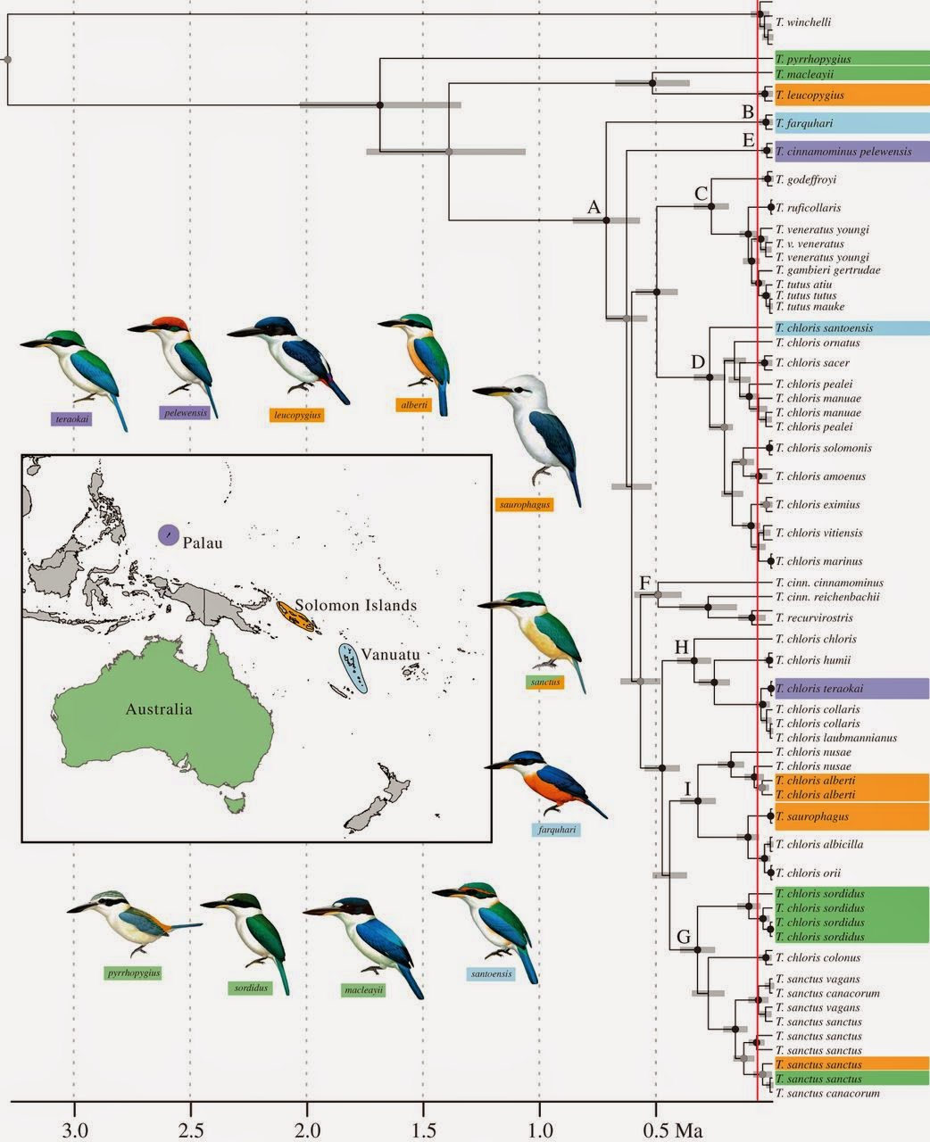 Species New to Science: [Ornithology • 2015] Rapid Diversification and ...