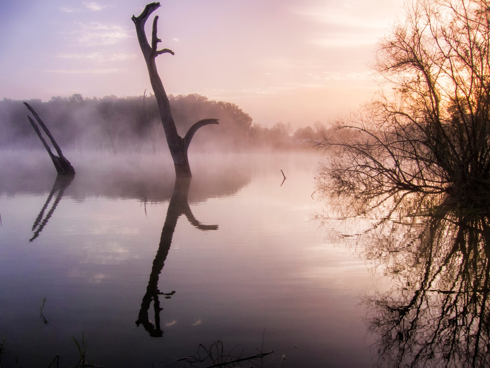 Breanna's Birding Blog: Bystre Lake - January 6, 2017