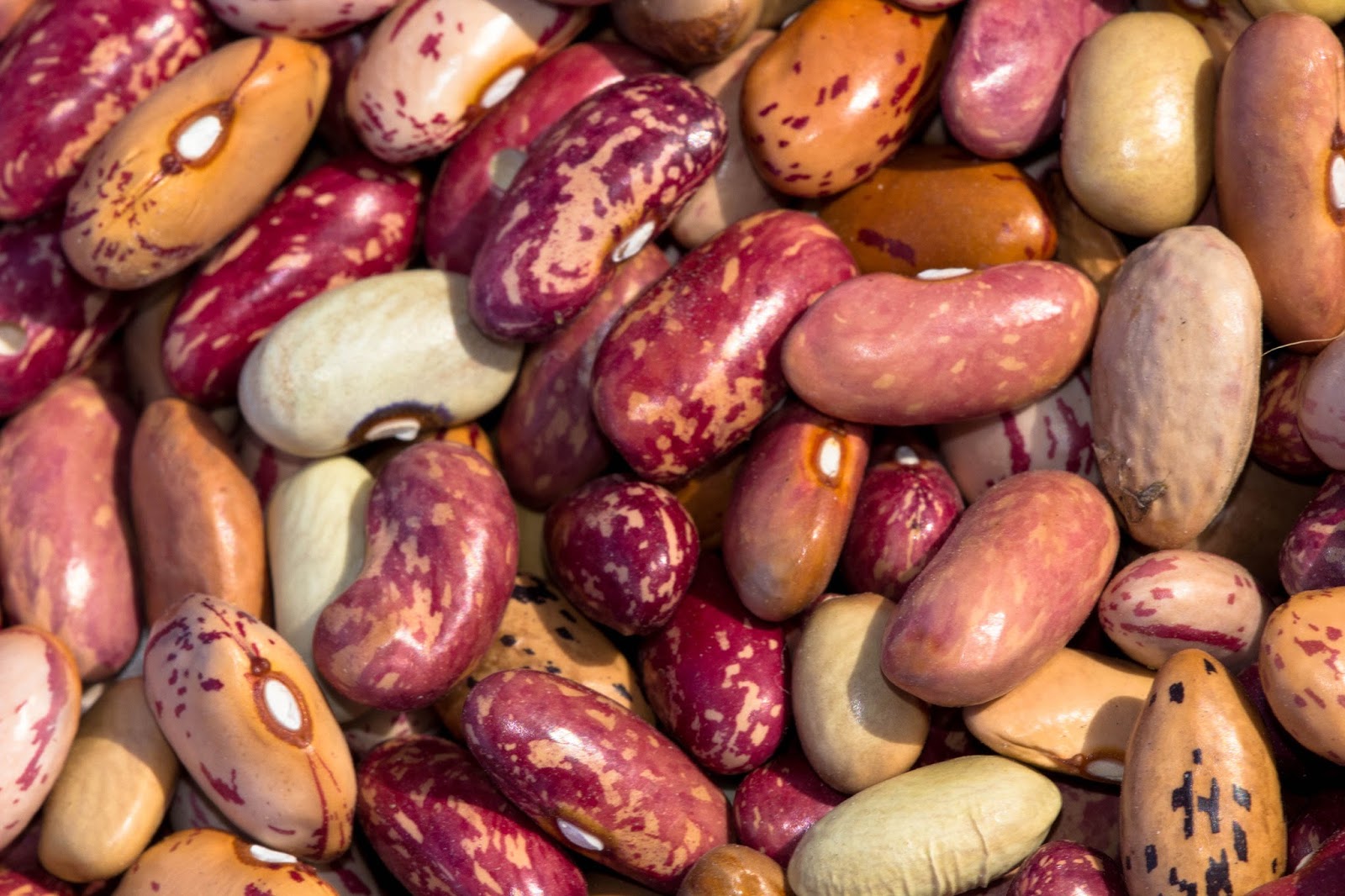 Beans, Beans, The Magical Fruit