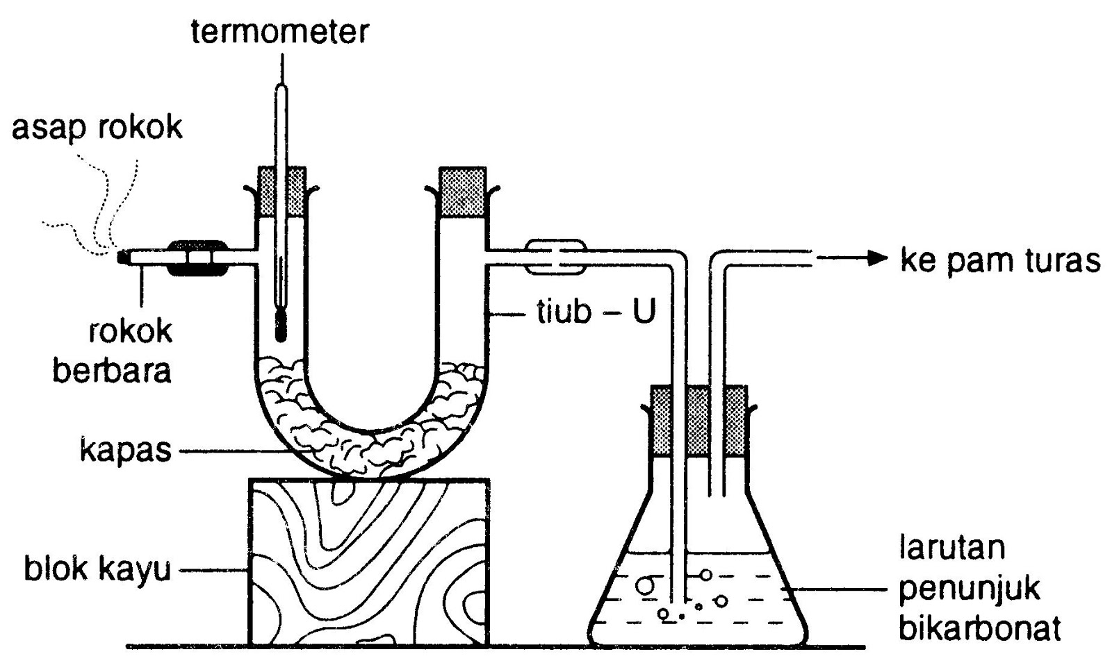 Cikgu Karthi: Sains :Respirasi