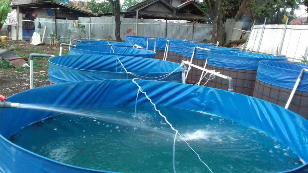 Kolam Terpal | Budidaya Ikan Lele | Ternak Lele Bioflok | Jual Kolam ...