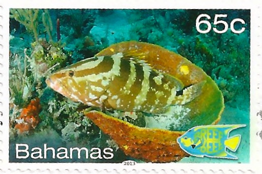 My Favorite Postcards: Castaway Cay, Disney Cruise Ship Island