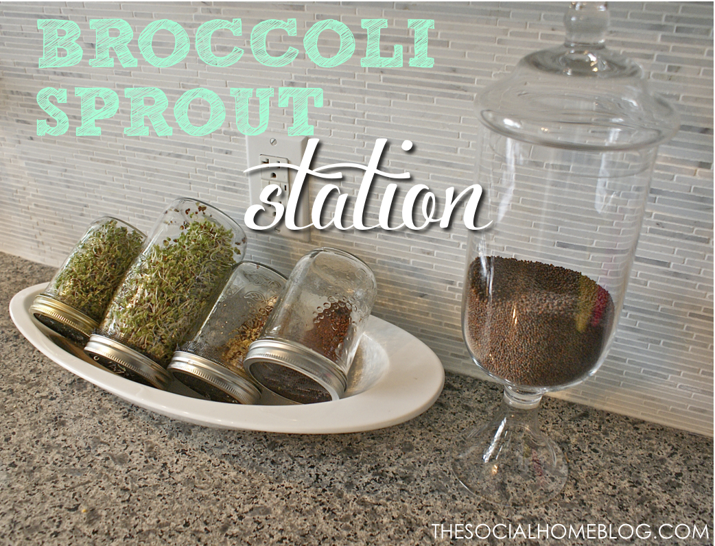 Healthy Home | Growing Greens to Save Some Green