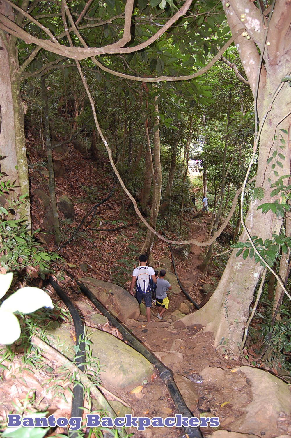 Dingalan, Aurora : Tanawan Viewdeck and Tanawan Falls | Bantog Backpackers