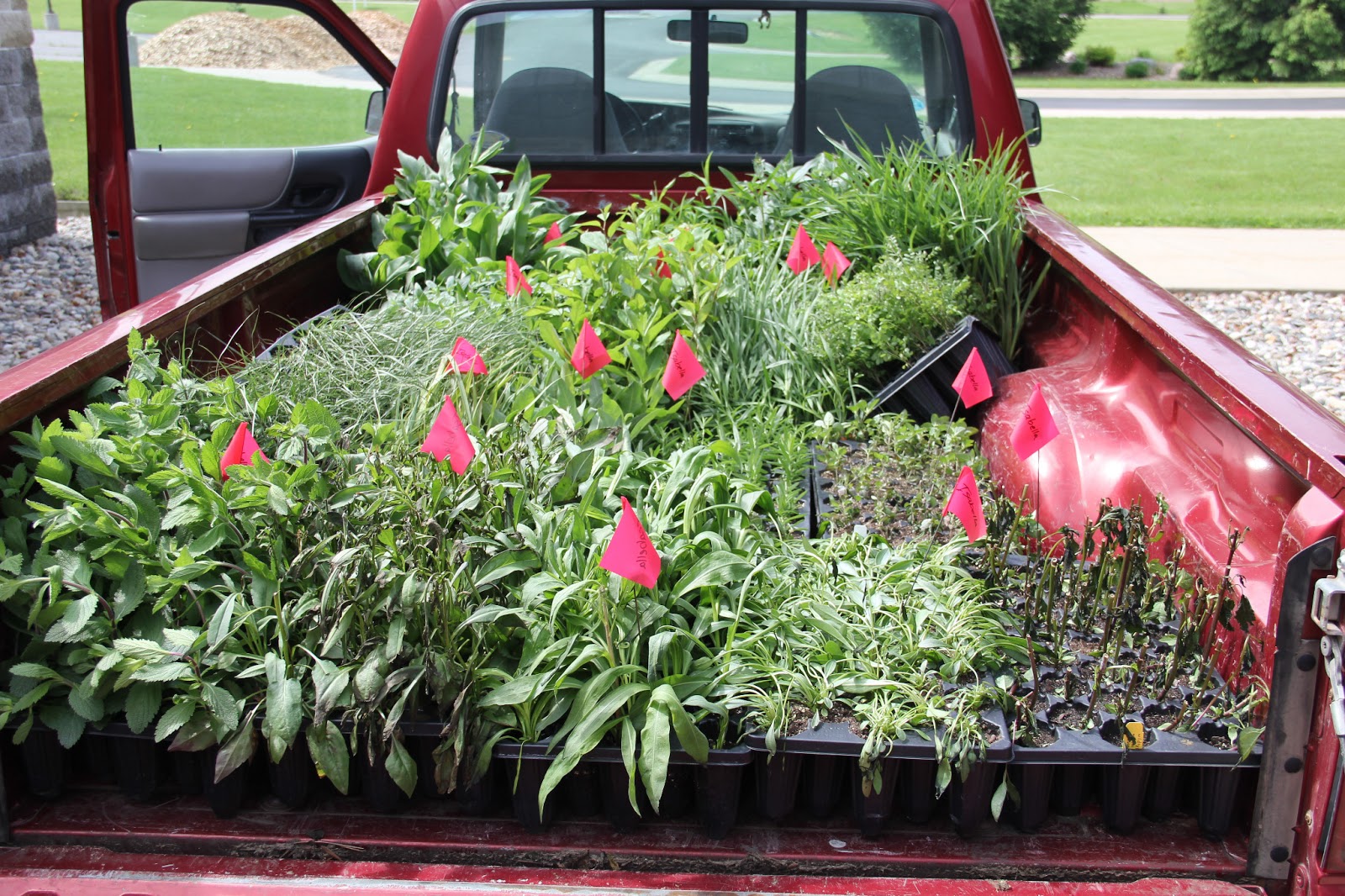 Isabella Conservation District Environmental Education Program: About ...