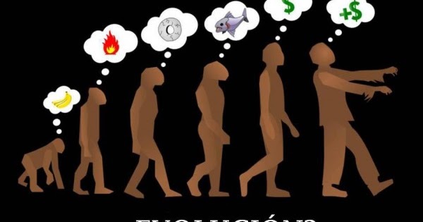 La evolución del hombre: La evolución, conceptos básicos