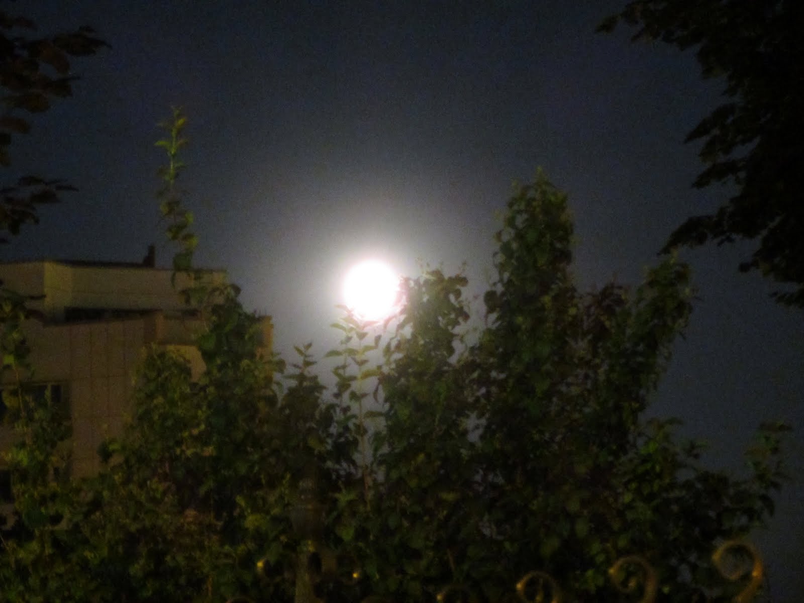 Leanna Explores Eastern Europe: Full Moon Over Iasi, Romania