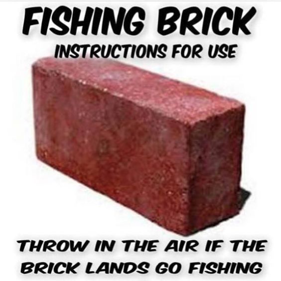Fly Fishing In Yellowstone National Park: The Brick Has Landed