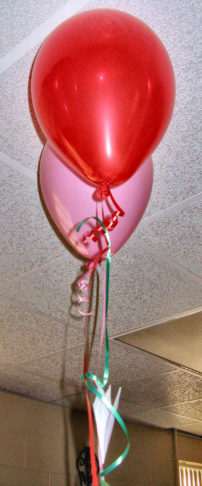 Oak Tree Corner: Oak Tree Corner Celebrates Another Great Year with ...